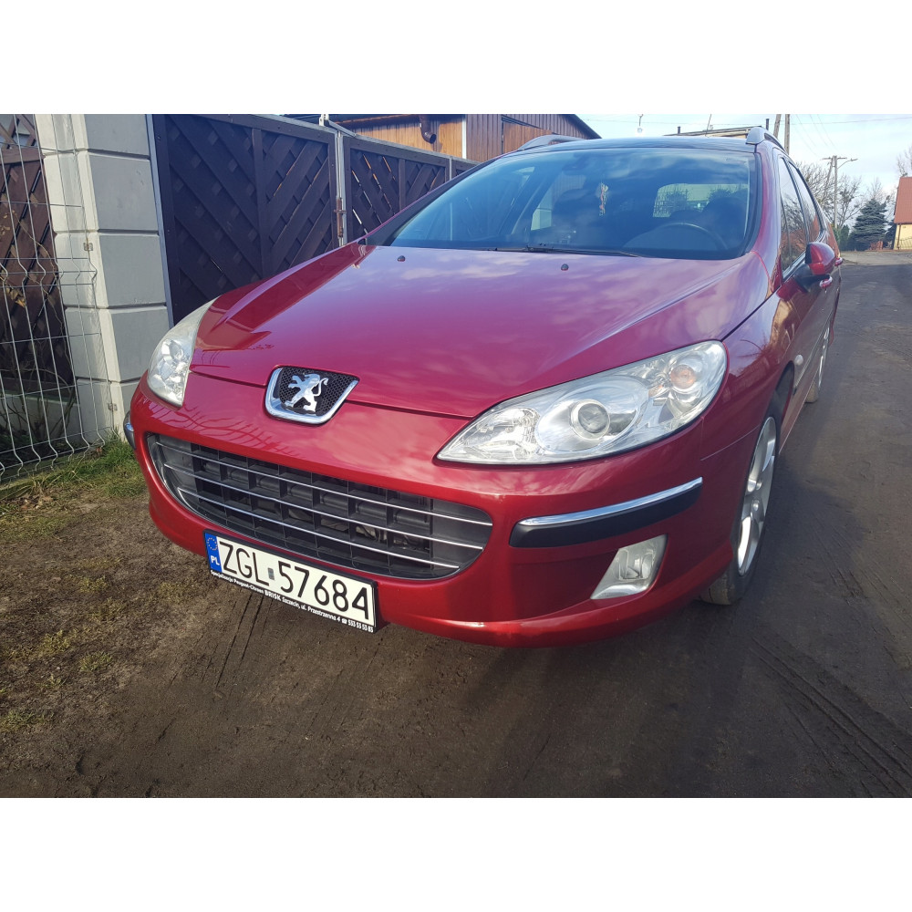 Peugeot 407 - Chrome Grille Kit 3M Tuning